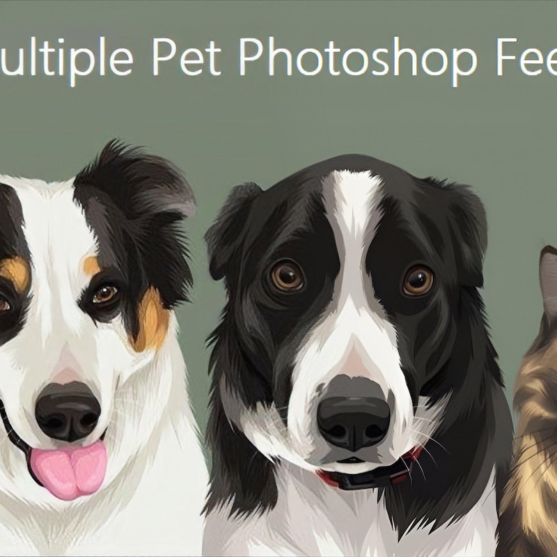 Multiple Pet Pants - Etsy