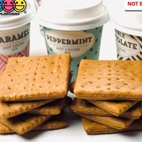 Fake Graham Crackers, Fake Food, Camping Decor, Artificial Food, Faux ...