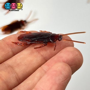 10pcs Cockroach Realistic Insect Roach Bug Bendable Plastic Resin ...