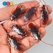 10pcs Cockroach Realistic Insect Roach Bug Bendable Plastic Resin ...