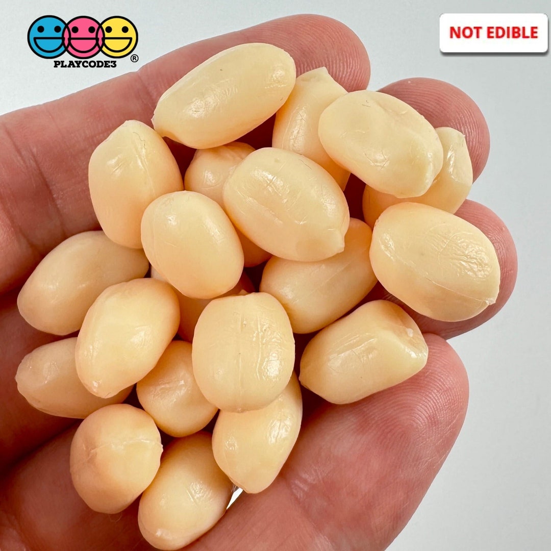 20 Pcs Fake Peanut Raw Blanched Nuts Food NOT a Toy Plastic Fake Bakes ...