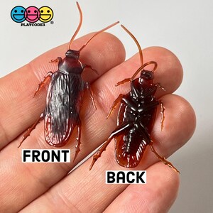 10pcs Cockroach Realistic Insect Roach Bug Bendable Plastic Resin ...