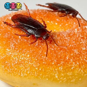 10pcs Cockroach Realistic Insect Roach Bug Bendable Plastic Resin ...