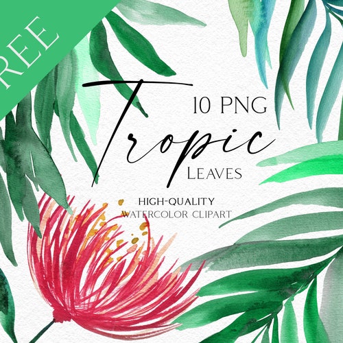 Watercolor Tropical Clipart. Greenery Palm Leaves Png - Etsy