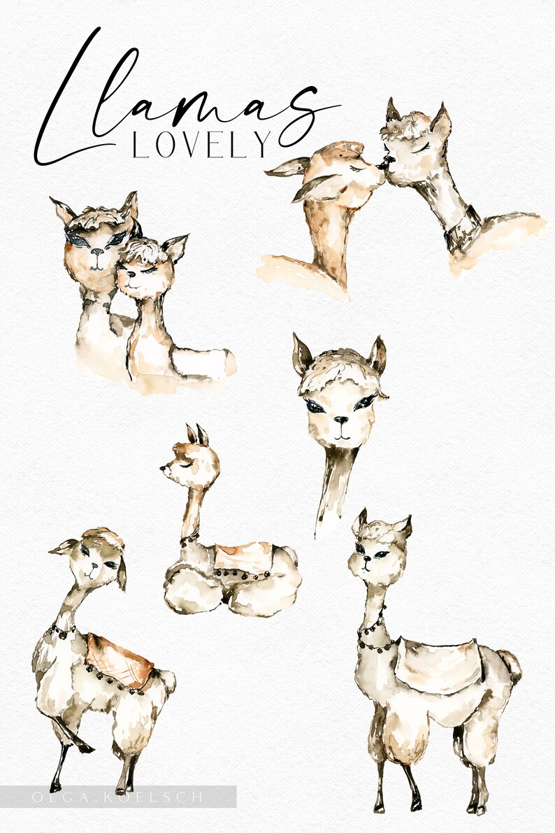 Watercolor Llamas Clipart Boho Alpaca Clipart Llama - Etsy