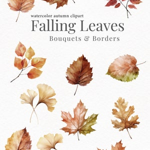 Watercolor Fall Leaves Clipart, Autumn Borders Png for Thanksgiving ...