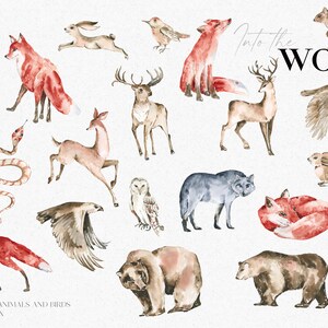 Watercolor Forest Animals Clipart, Cute Animals Clipart, Woodland ...