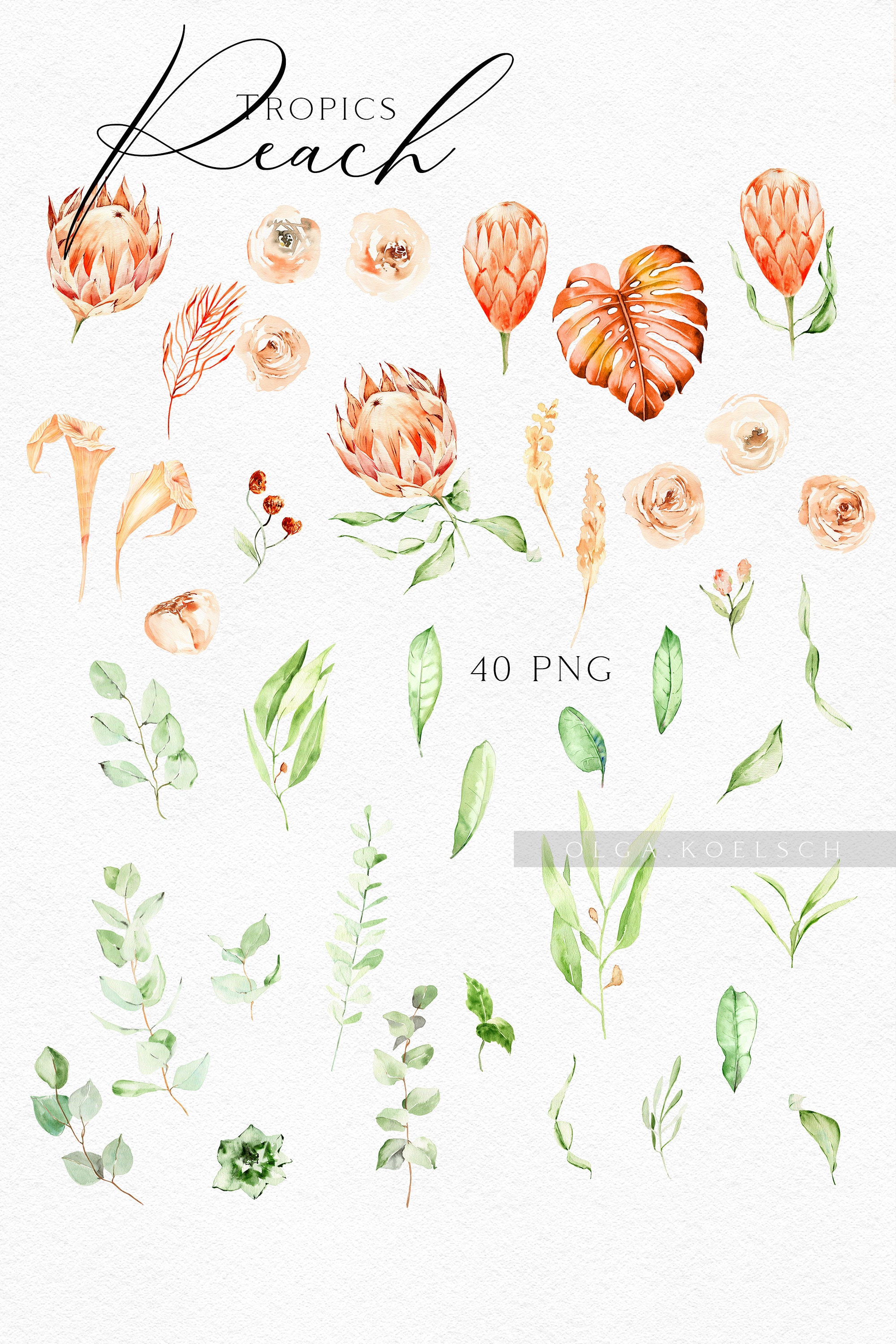 Watercolor Tropic Boho Flower Clipart. Greenery Eucalyptus - Etsy