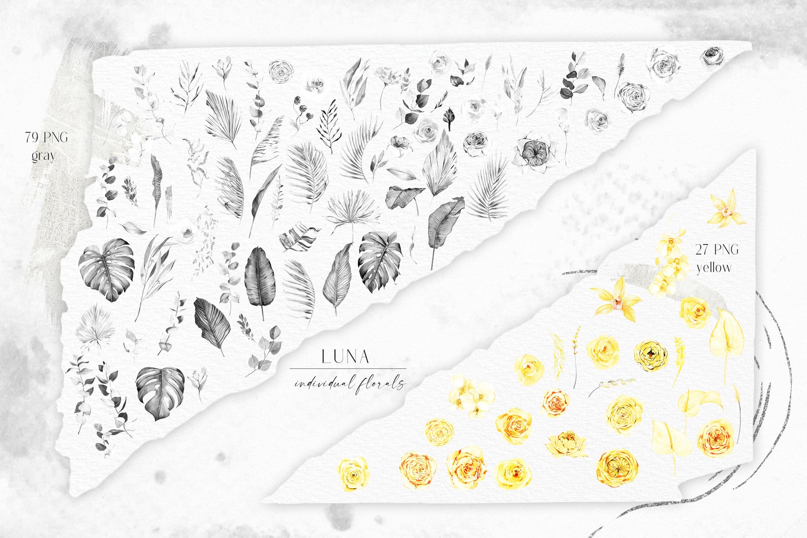 Boho Tropical Watercolor Floral Clipart Black and White - Etsy