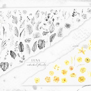 Boho Tropical Watercolor Floral Clipart, Black and White Flowers ...