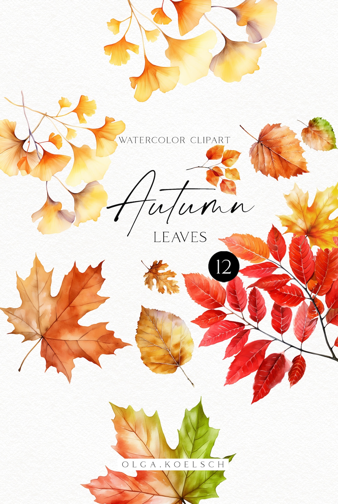Watercolor Fall Leaves Clipart, Autumn Maple Leaf Png for Thanksgiving ...