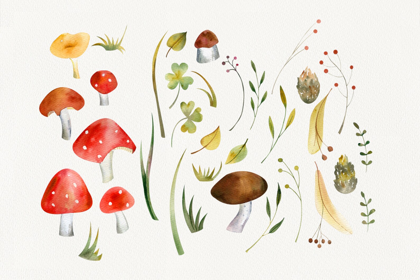 Watercolor Mushroom Clipart Forest Mushrooms Png Cute - Etsy
