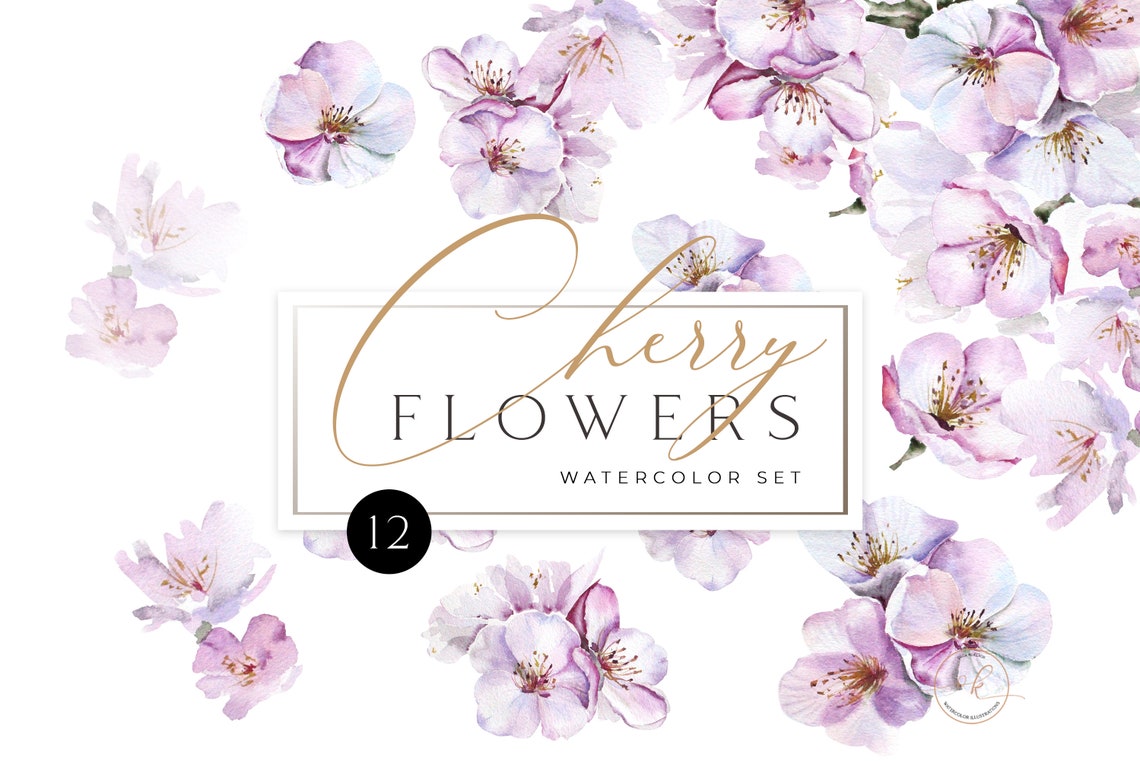 Watercolor Cherry Blossom Clipart Sakura Flowers Clip Art. - Etsy