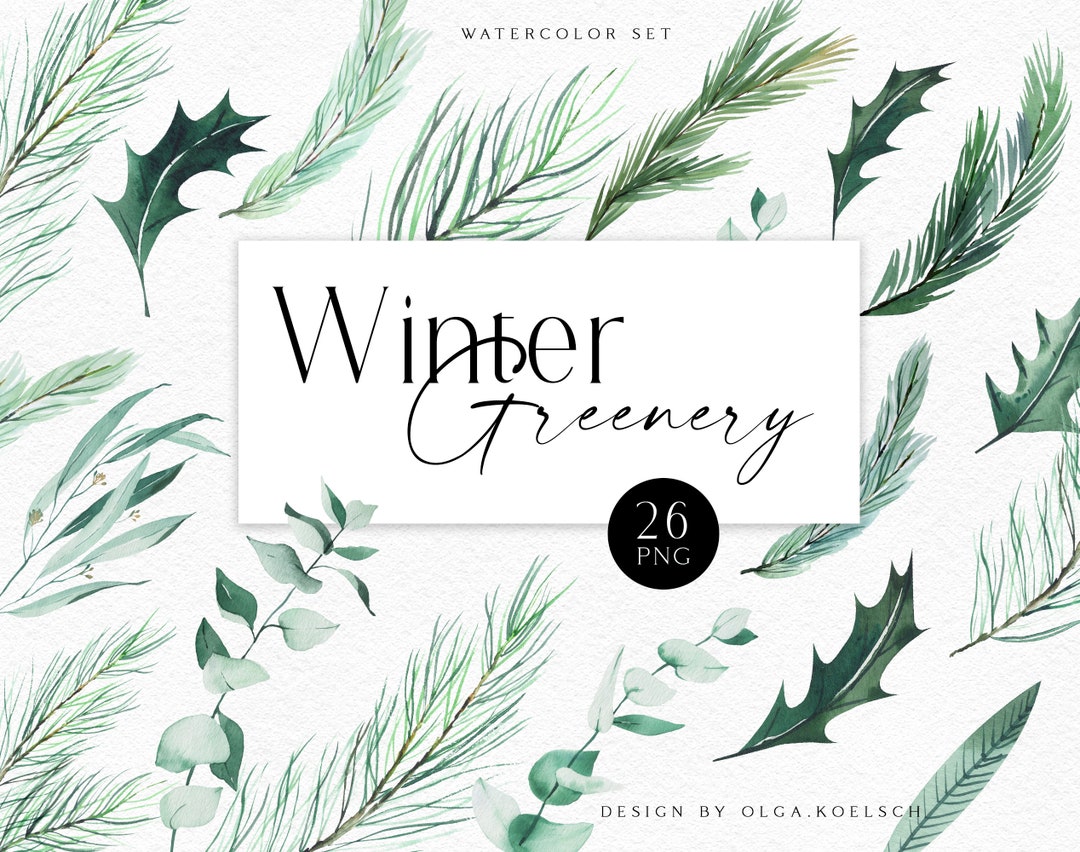 Watercolor Christmas Greenery Clipart, Eucalyptus and Pine Tree Clipart ...