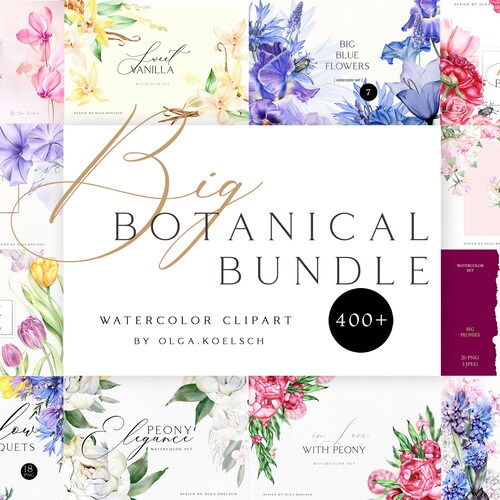 Watercolor Boho Floral Clipart Bundle Rose Clipart for - Etsy