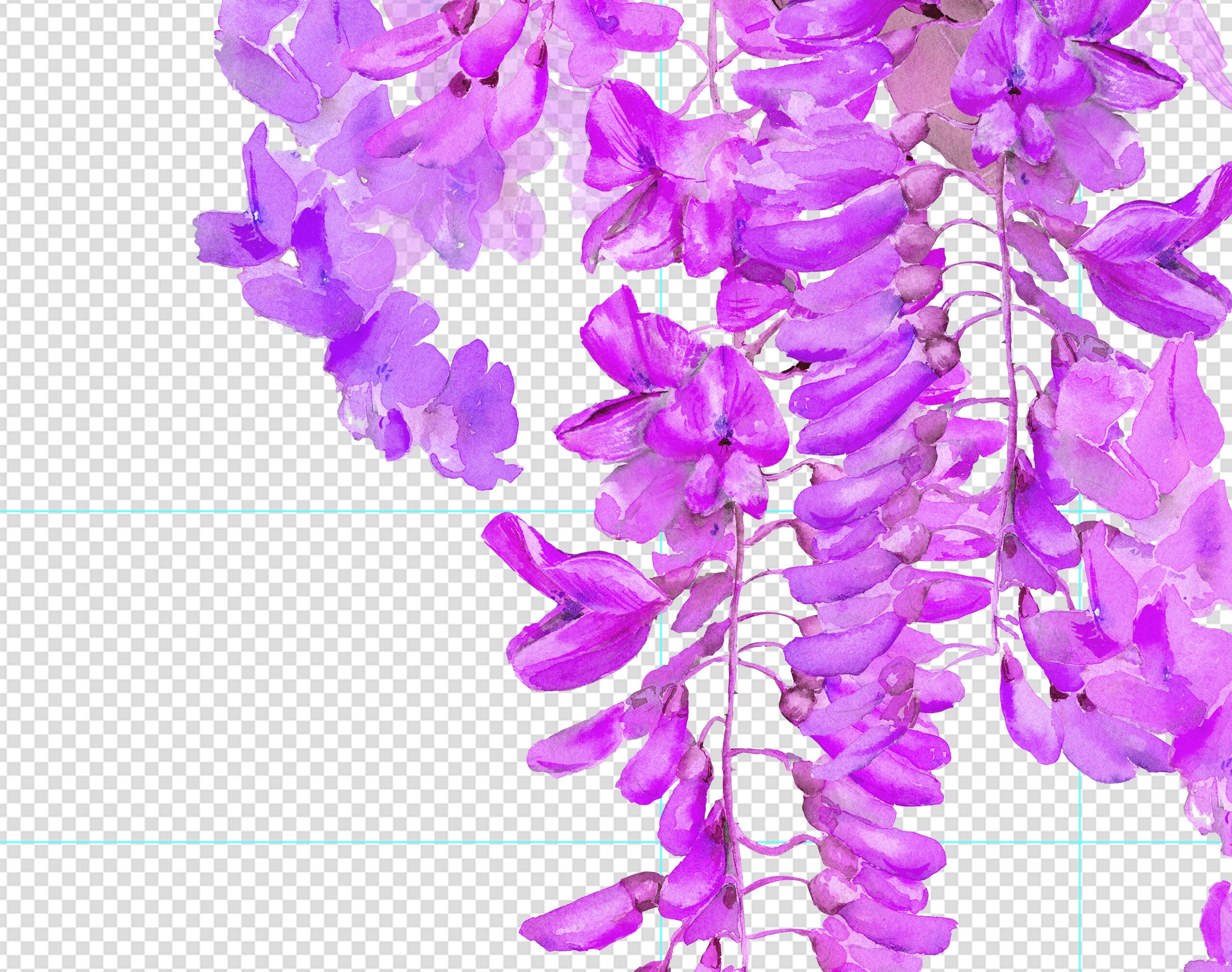 Watercolor Purple Floral Clipart Wisteria Flower Png Purple | Etsy