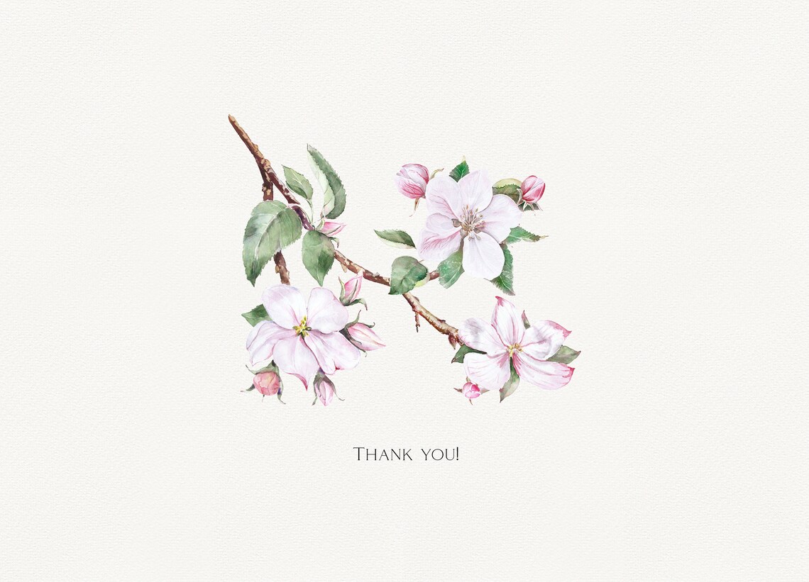 Watercolor Apple Blossom Clipart, Cherry Bloom PNG (digital Download ...