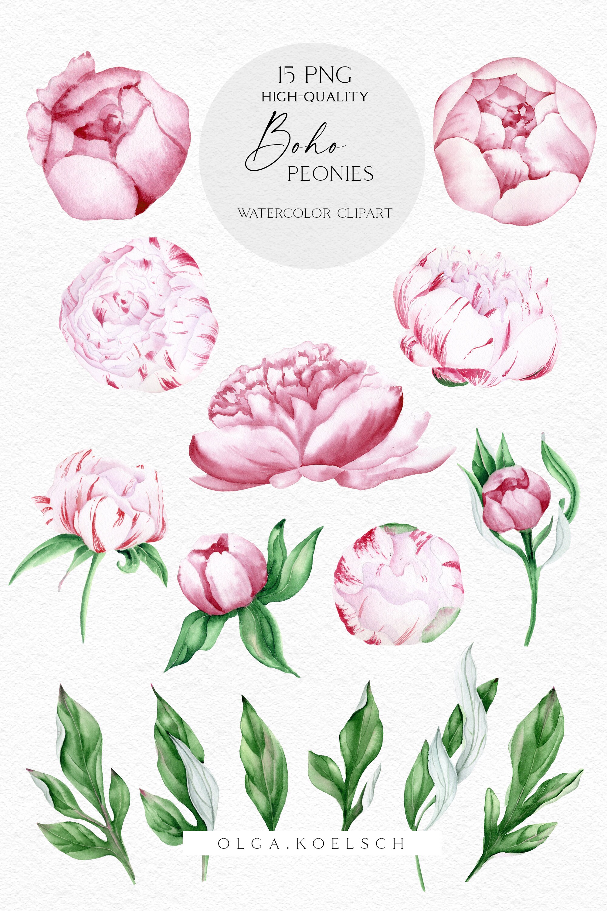 Watercolor Pink Peonies Clipart, Watercolor Boho Flowers Png, Floral ...