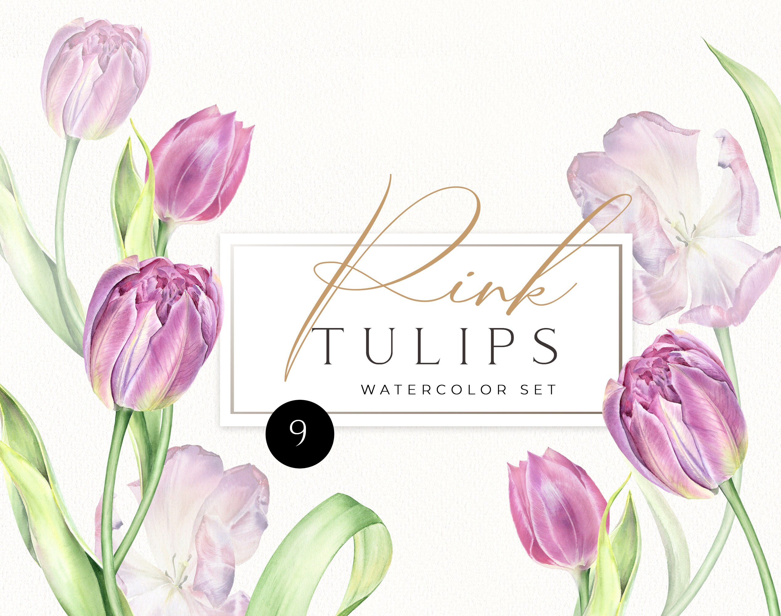 Watercolor Watercolor Pink Tulips Clip art Set Art & Collectibles etna ...