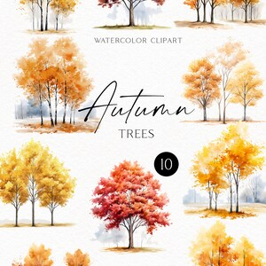 Watercolor Fall Clipart, Watercolor Autumn Trees, Maple Tree Png ...
