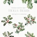 Watercolor Holly Berry Clipart for Christmas Scrapbook Greeting Cards ...
