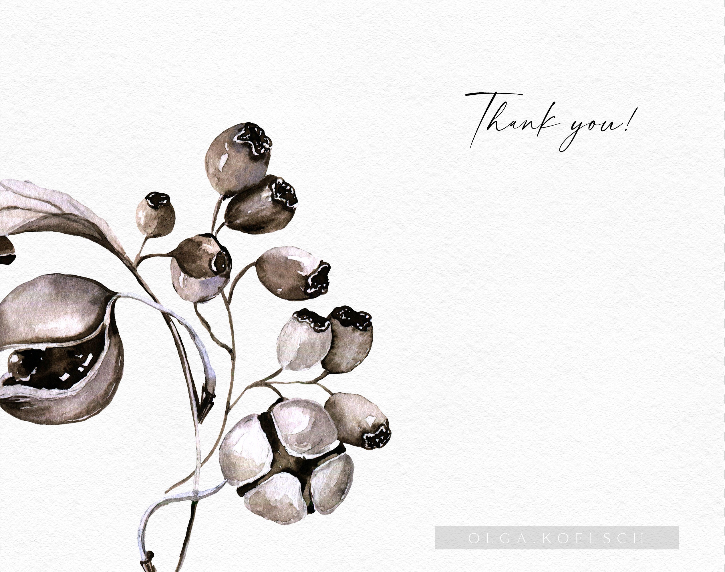 Spices Watercolor Clipart Kitchen Labels With Spices Png - Etsy Canada