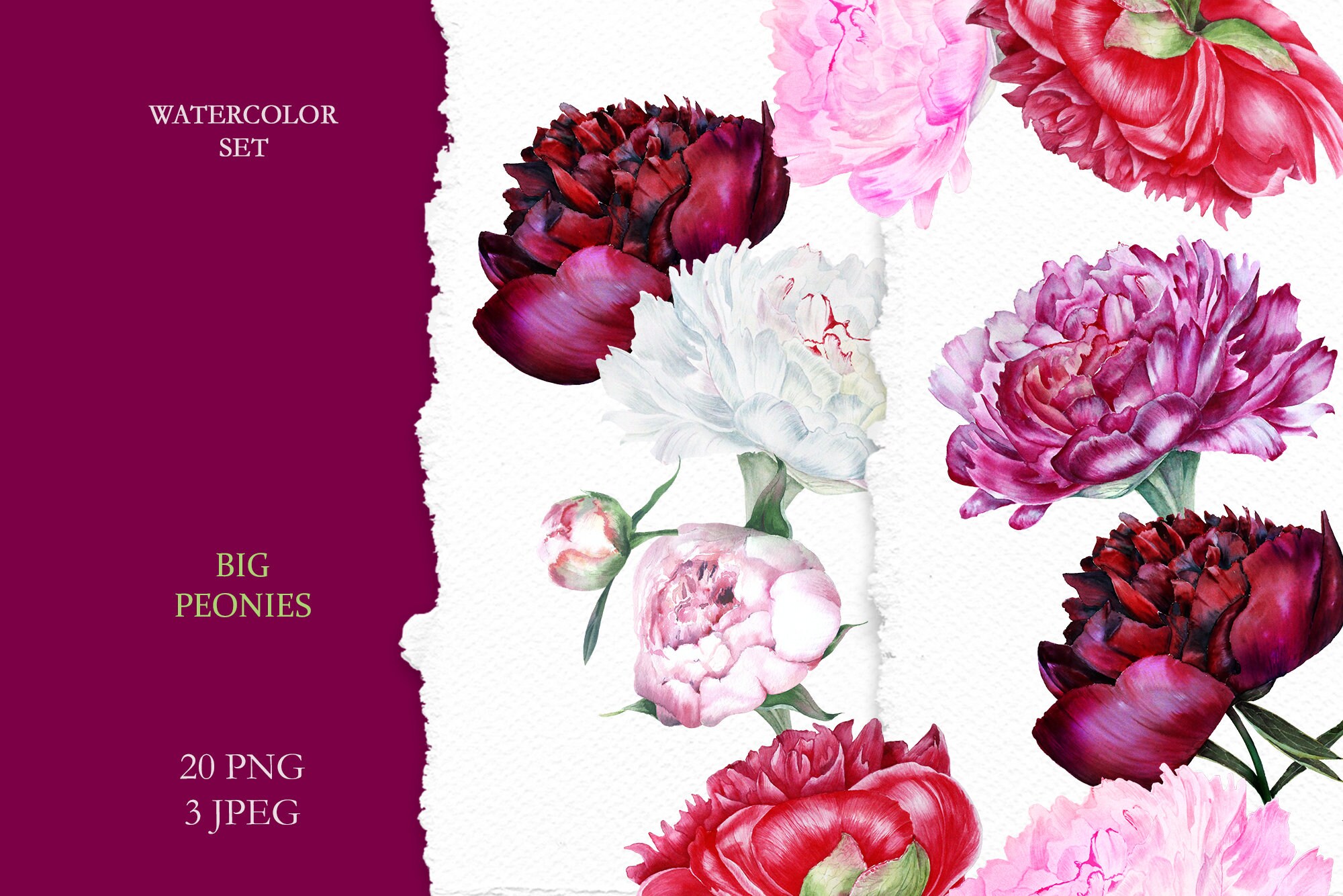 Watercolor Floral Clipart Bundle Rose Clipart for Wedding - Etsy