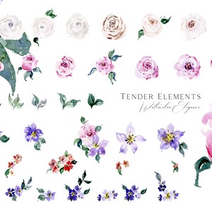 Watercolor Boho Roses Clipart, Pink and Purple Floral Png for Wedding ...