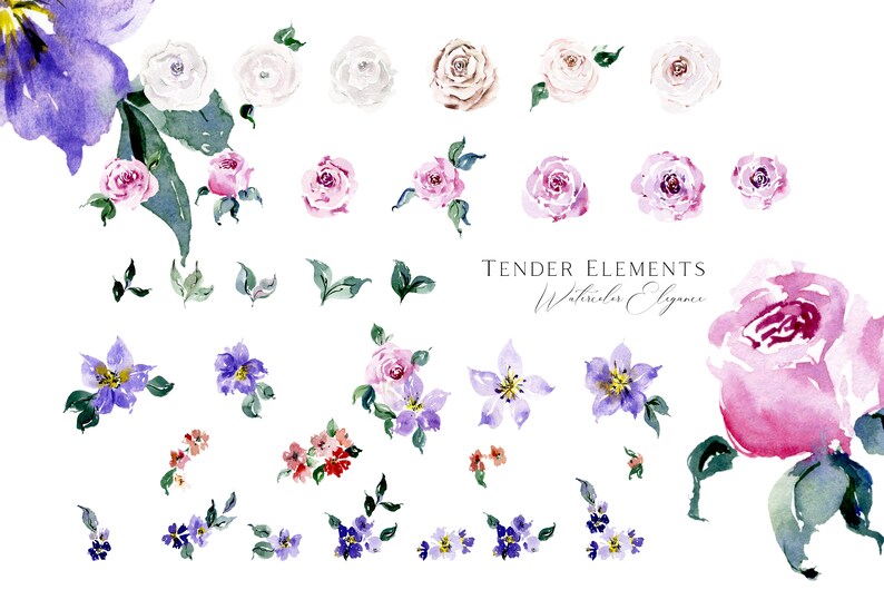 Watercolor Boho Roses Clipart Pink and Purple Floral Png for | Etsy