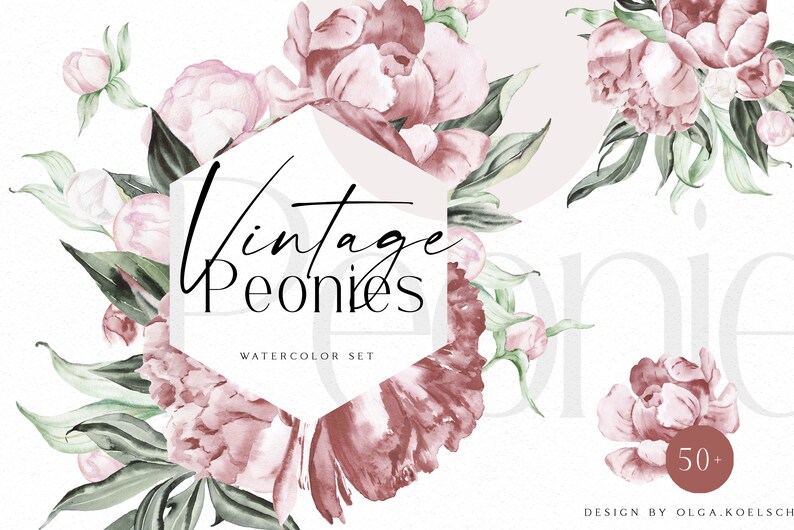 Watercolor Boho Floral Clipart Bundle Rose Clipart for - Etsy
