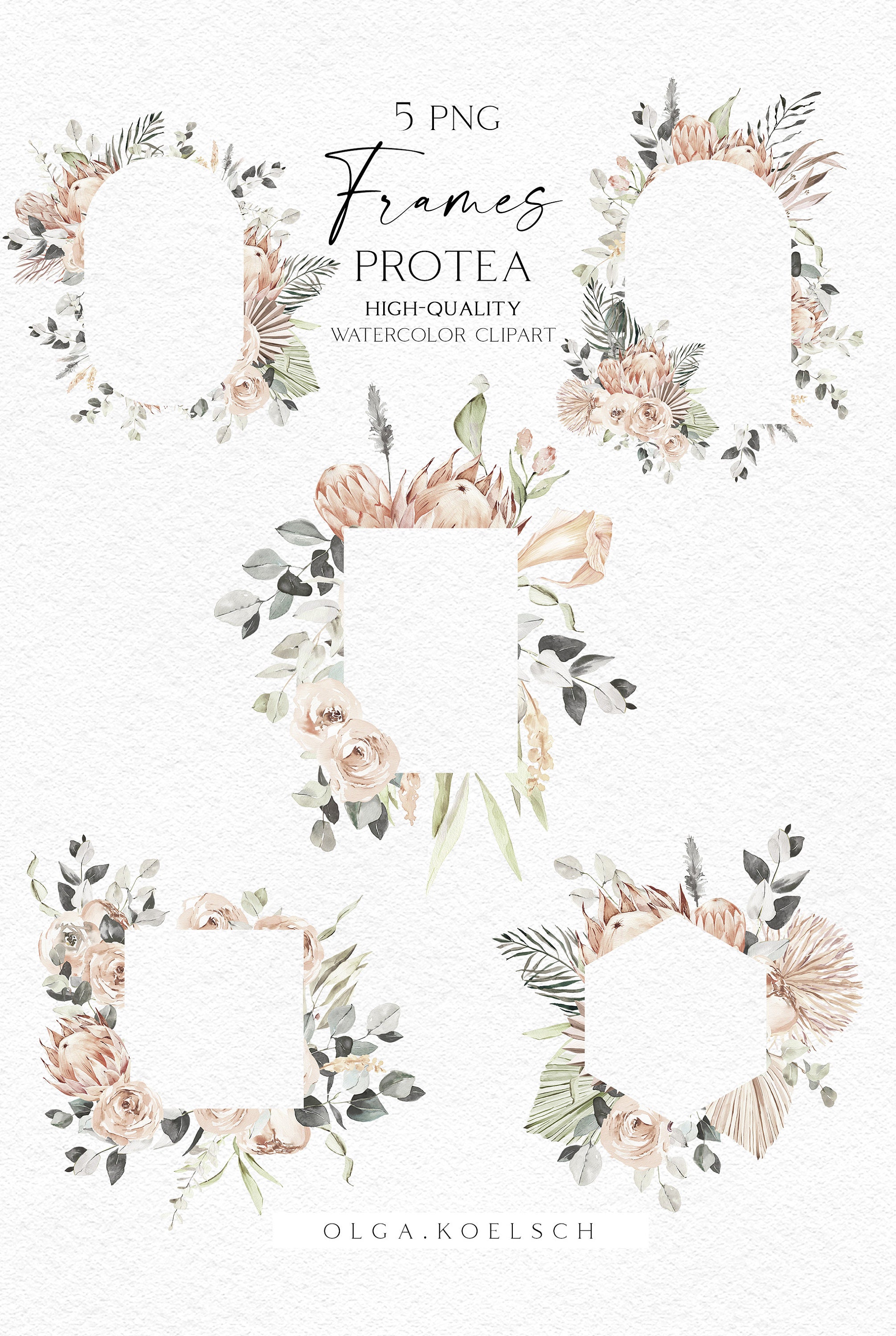 Boho Roses Frames Clipart, Watercolor Protea Tropical Png, Pink Wedding ...