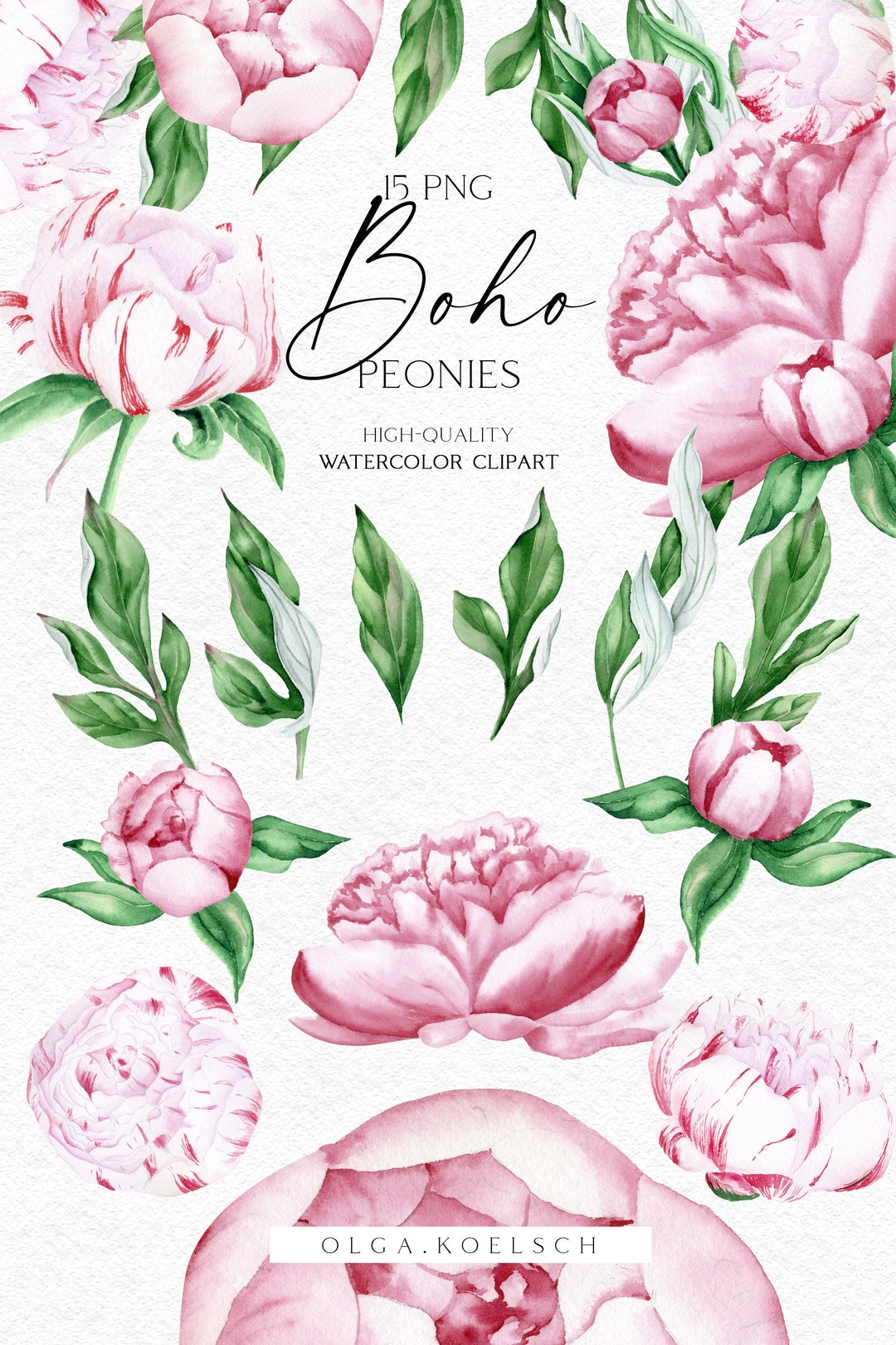Watercolor Pink Peonies Clipart, Watercolor Boho Flowers Png, Floral ...