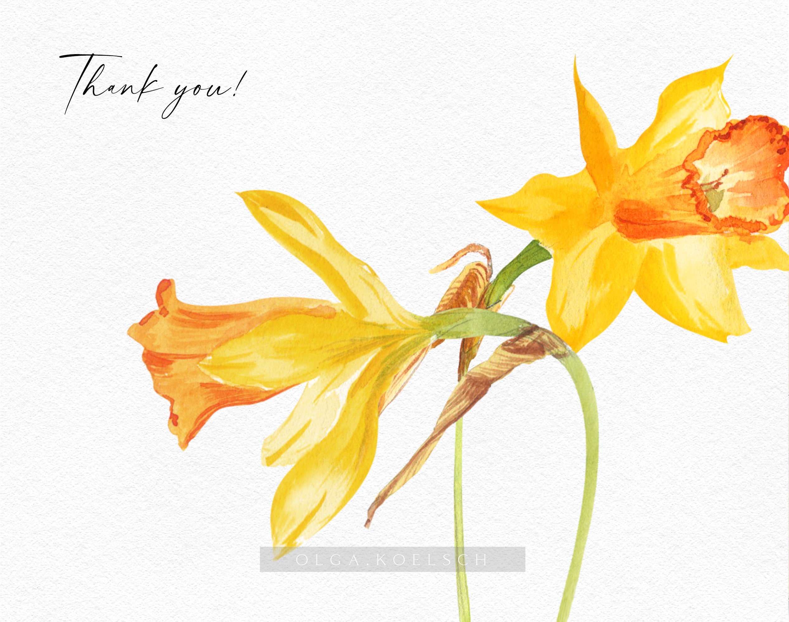 Watercolor March Birth Flower Yellow Daffodil Bouquet - Etsy