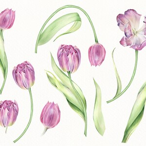 Watercolor Tulips Clipart, Easter Flowers Watercolor Clip Art, Hand ...