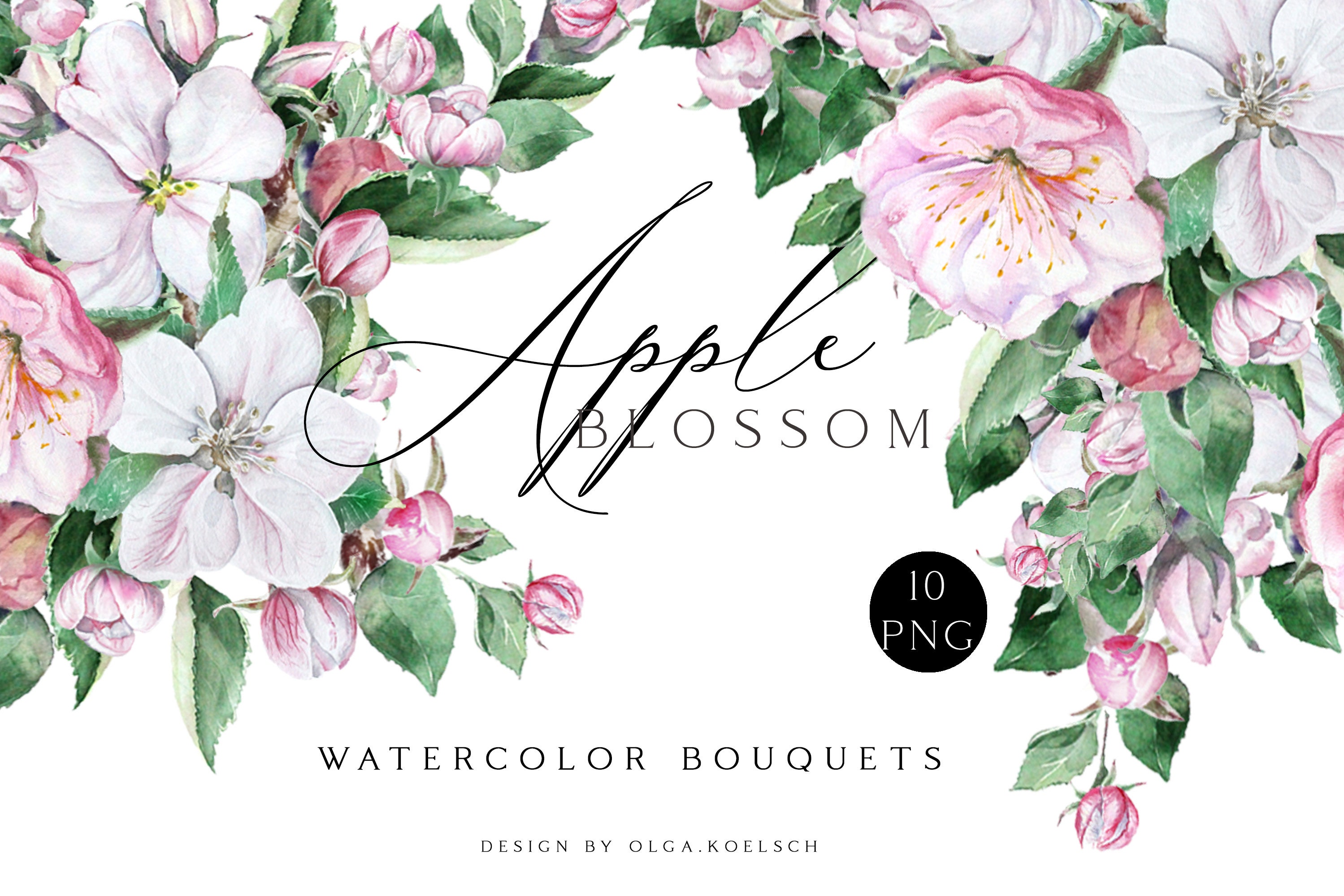 Apple Blossom Clipart Watercolor Cherry Blossom Png White - Etsy