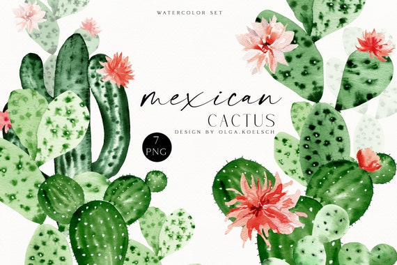 Cactus Watercolor Clipart Cute Cactus Png. Green Succulent - Etsy