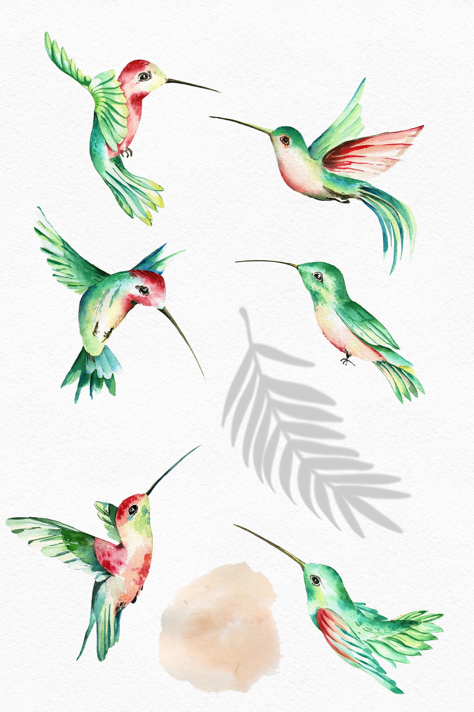 Watercolor hummingbird clipart. Tropical clipart with humming | Etsy