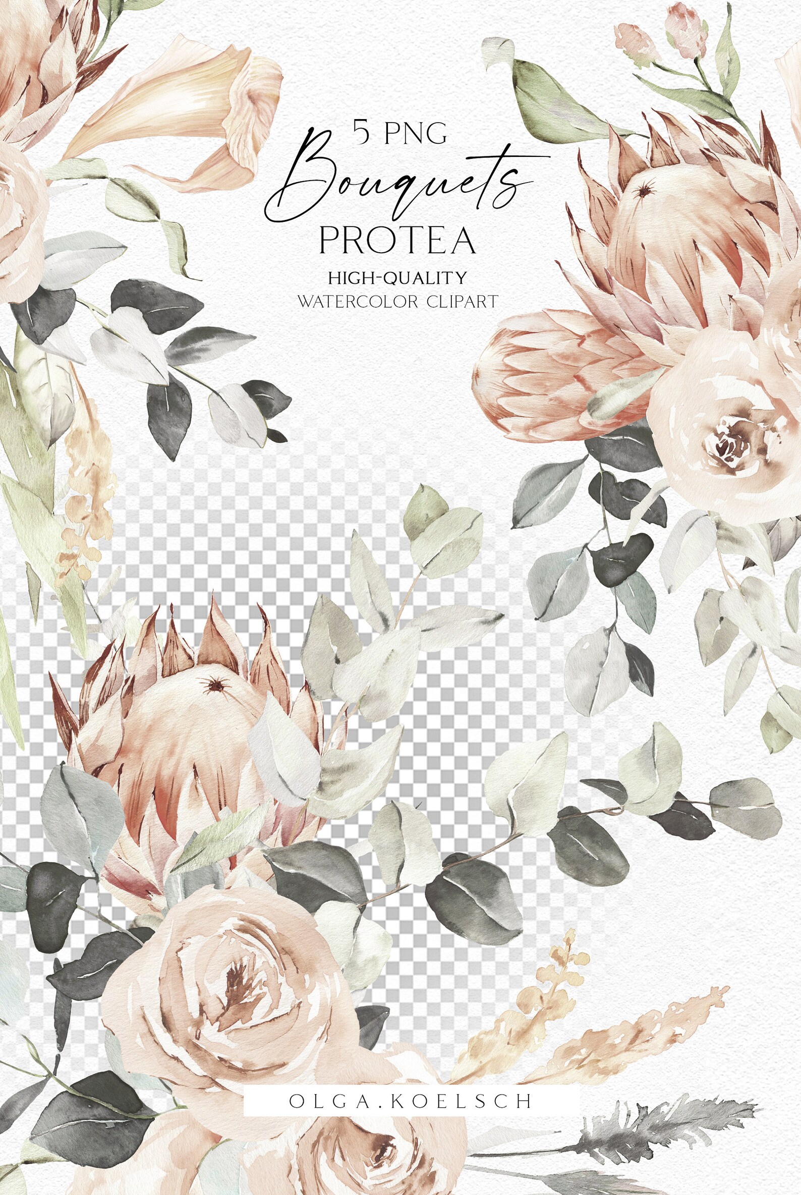 Boho Roses Bouquets Clipart, Watercolor Protea Tropical Png, Pink ...