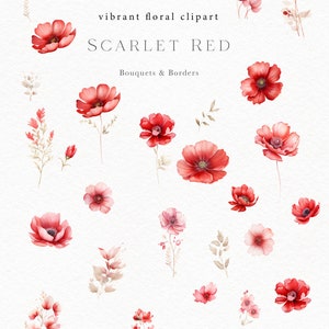 Watercolor Red Flower Clipart, Red and Blush Poppy PNG, Floral Wedding ...