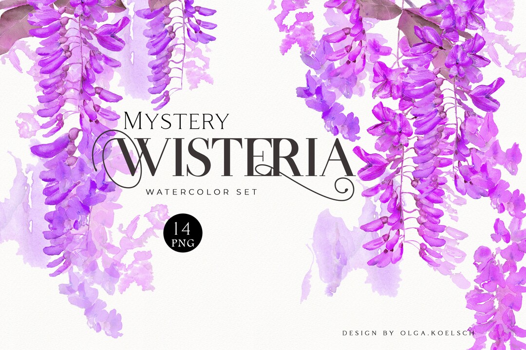 Watercolor Wisteria Clipart, Purple Floral (PNG) - Etsy