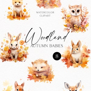 Woodland Baby Animals Clipart, Watercolor Fall Forest Png, Wild ...