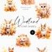 Woodland Baby Animals Clipart, Watercolor Fall Forest Png, Wild ...