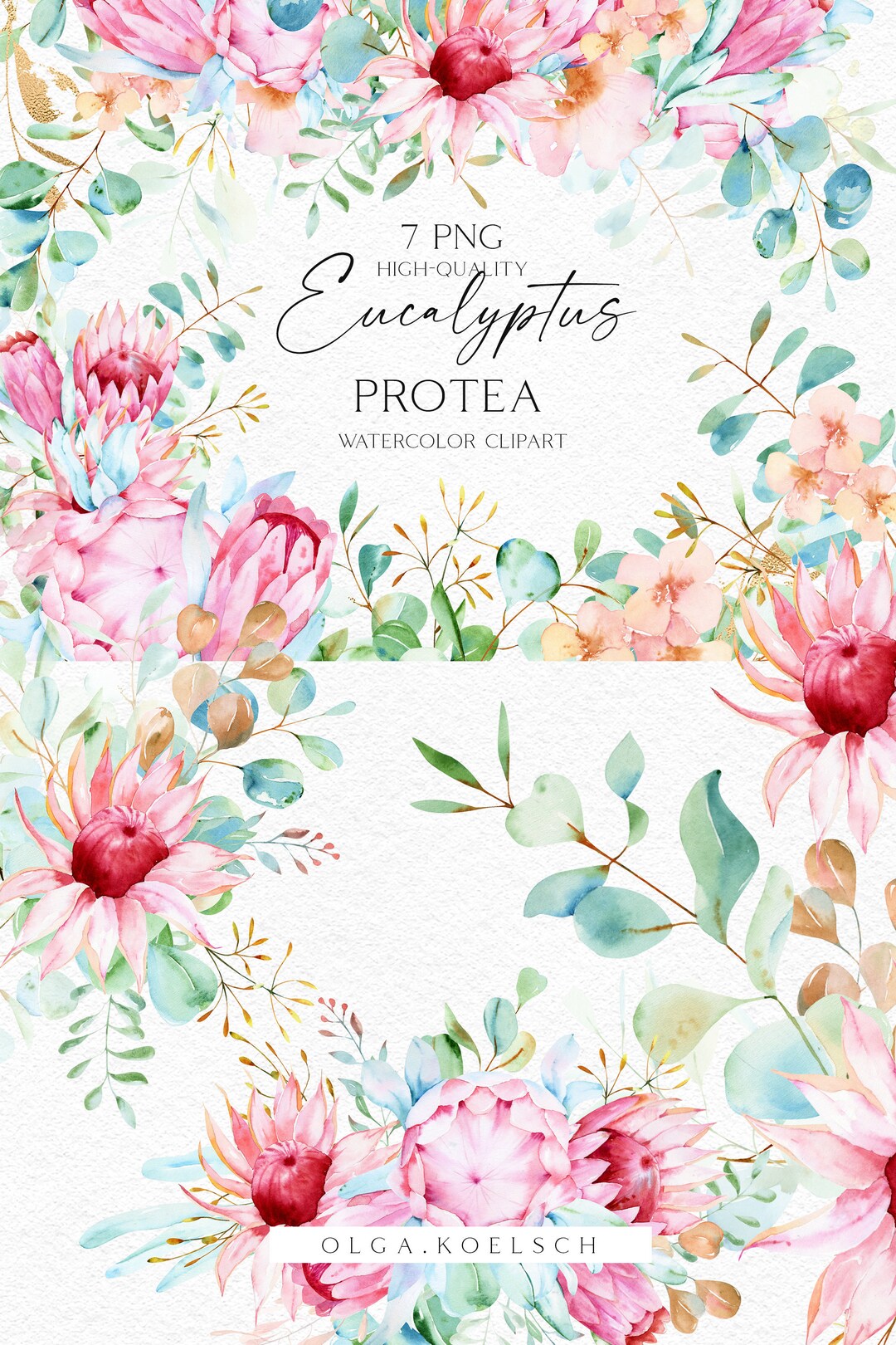 Watercolor Pink Floral Protea With Eucalyptus Clipart, Tropical Wedding ...
