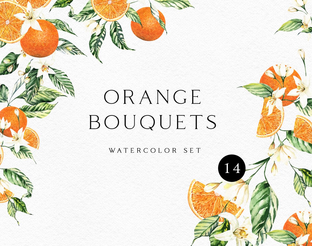 Watercolor Orange Clipart, Oranges Fruits Png, Citrus Wedding ...