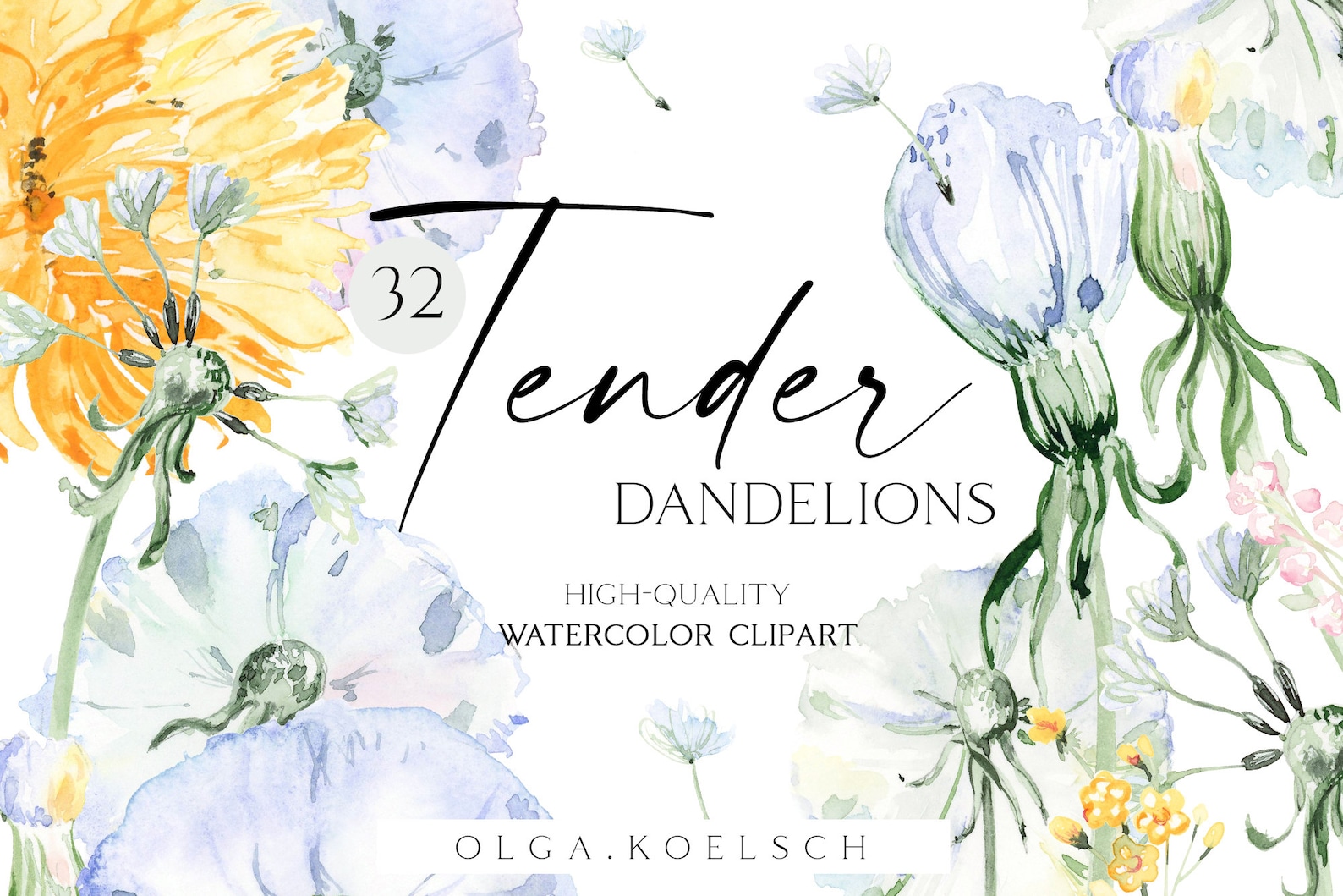 Watercolor Boho Floral Clipart Bundle Rose Clipart for - Etsy