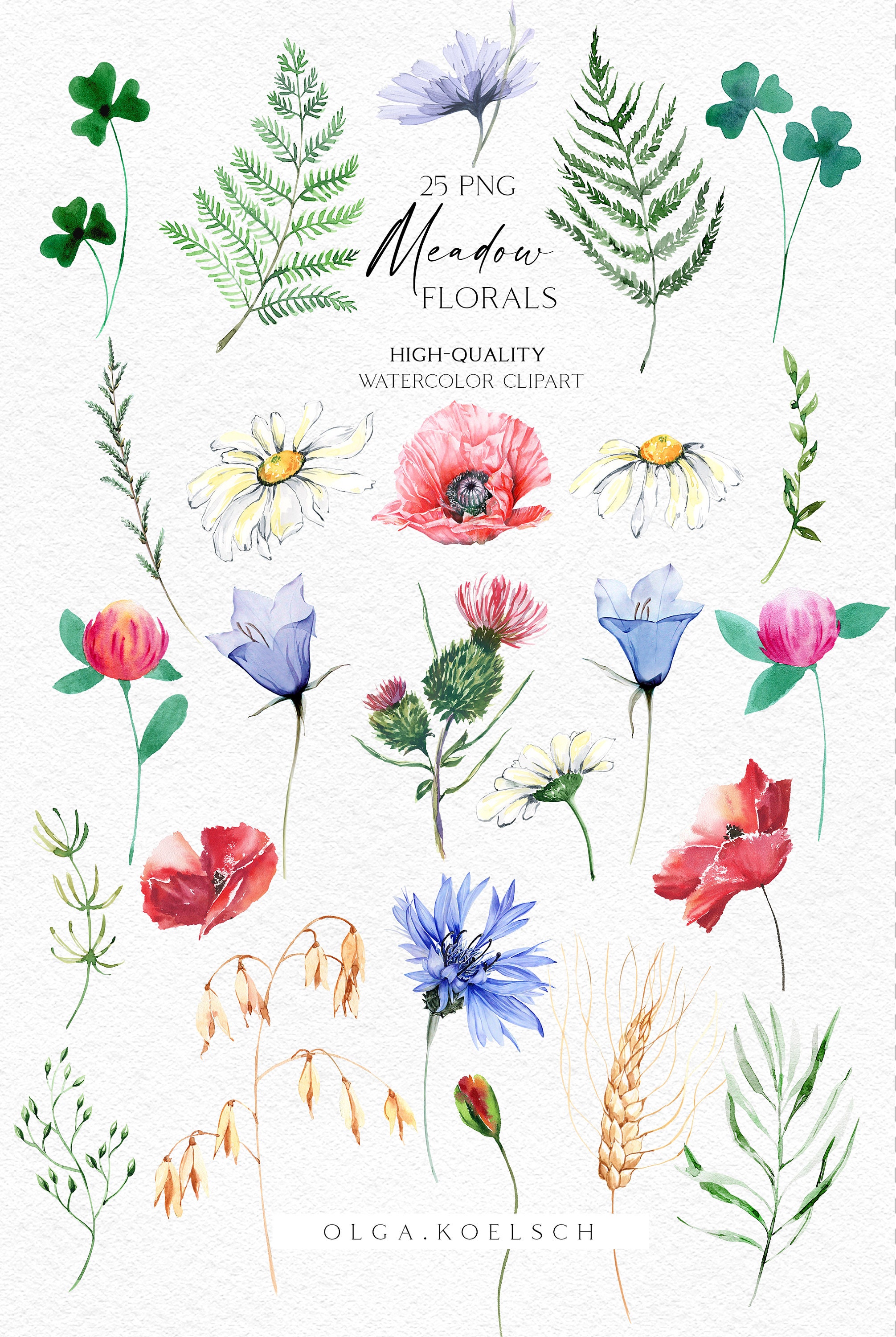 Watercolor Boho Flower Clipart, Wild Flower Png Elements, Meadow ...
