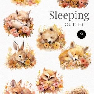 Woodland Baby Animals Clipart, Watercolor Fall Forest Png, Cute ...