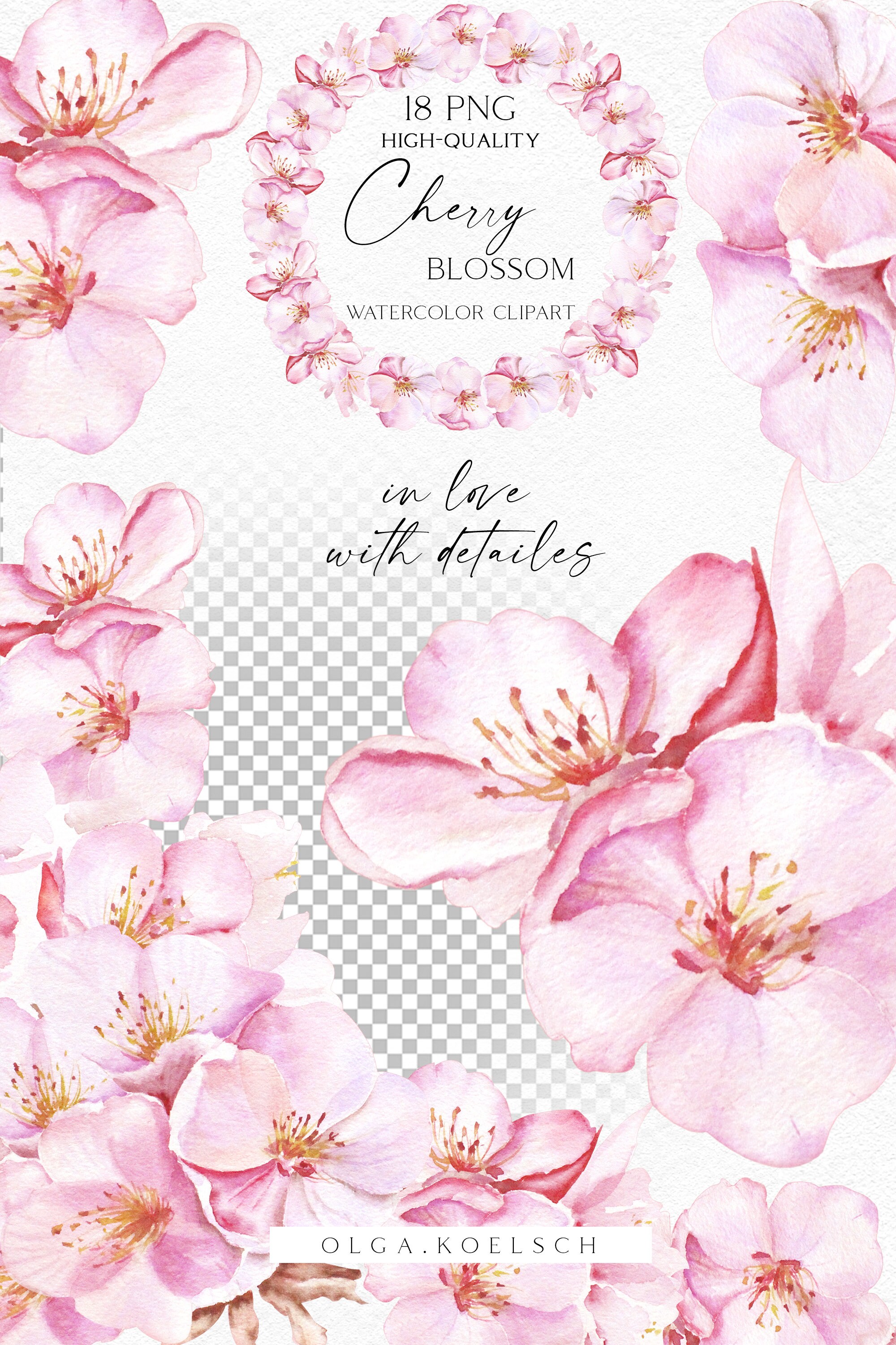 Cherry Blossom Clipart. Watercolor Sakura Blossom Png Pink - Etsy