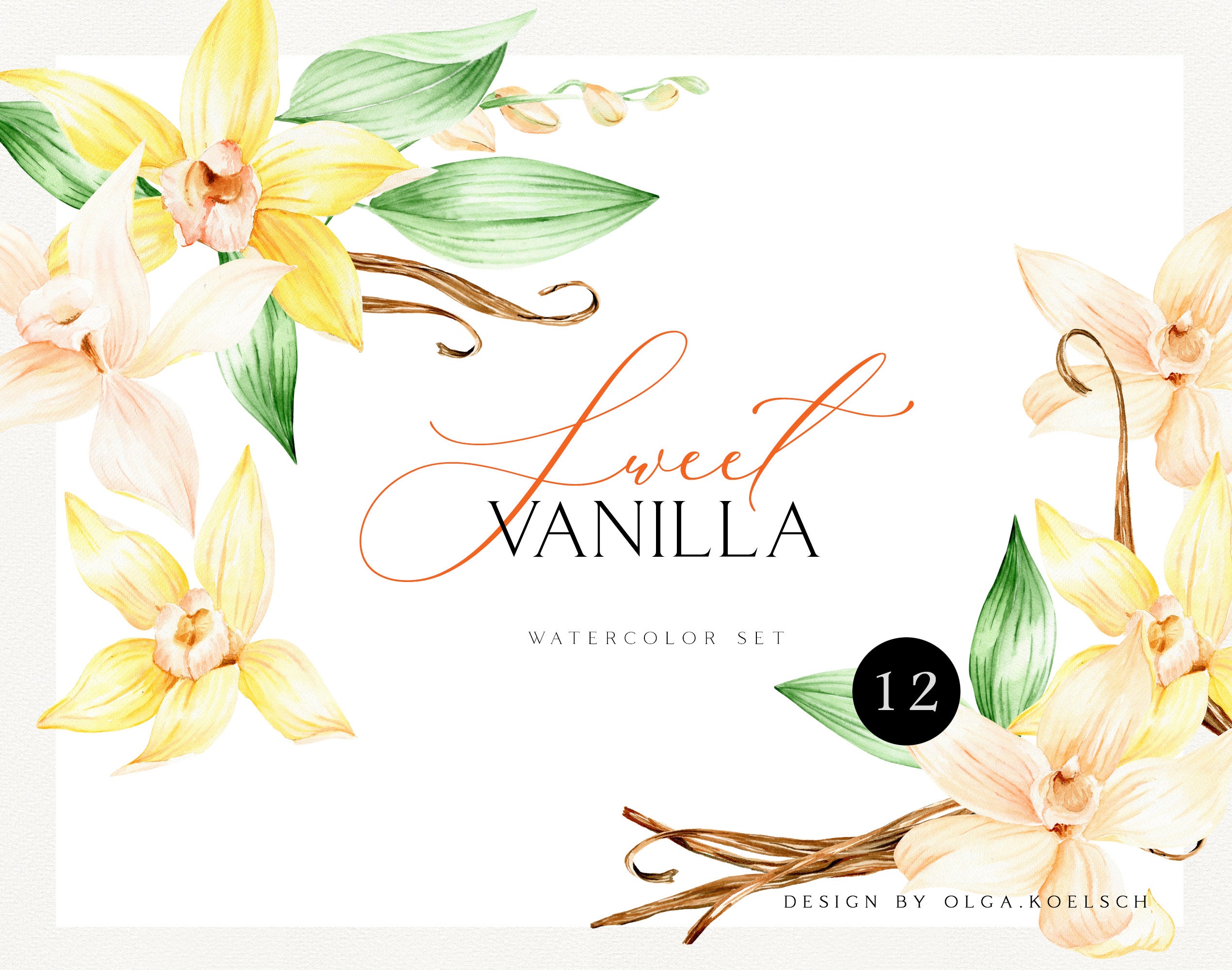 Watercolor Vanilla Clipart Yellow Floral Clipart Vanilla - Etsy Canada
