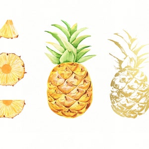 Watercolor Pineapple Clipart. Cute Pineapple Png. Tropical Fruits ...